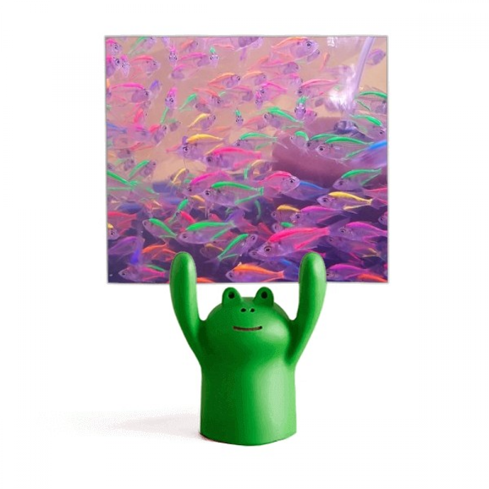 Ocean Fish Science Nature Picture Memo Holder Cartoon Animal Frog Stand ...