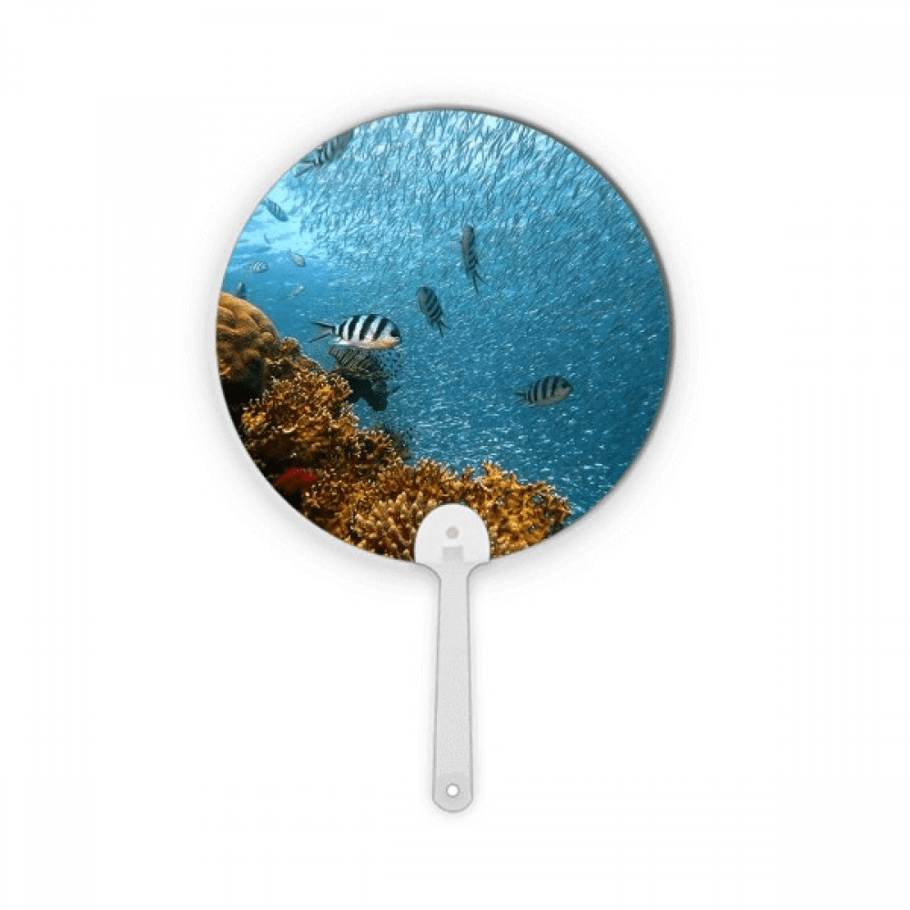 Ocean Fish Science Nature Picture Plastic Round Handheld Fan ...
