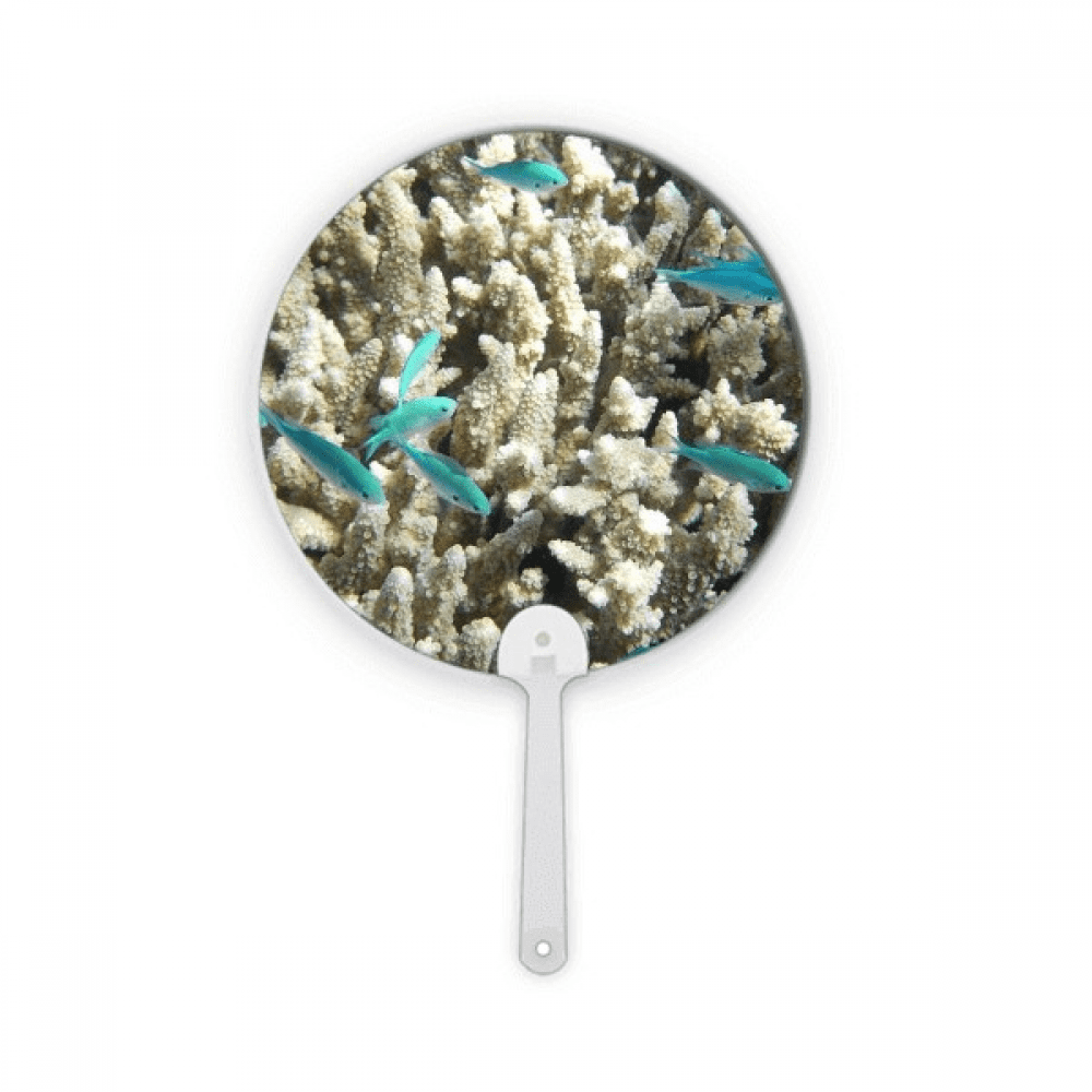 Ocean Fish Science Nature Picture Plastic Round Handheld Fan ...