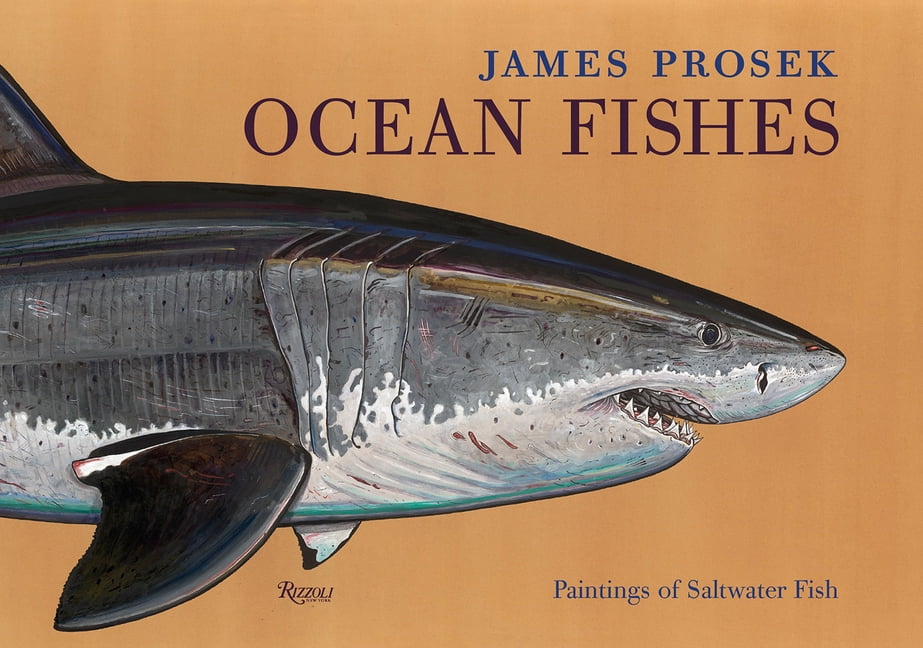 Ocean Fishes: Paintings of Saltwater Fish, (Hardcover) - Walmart.com