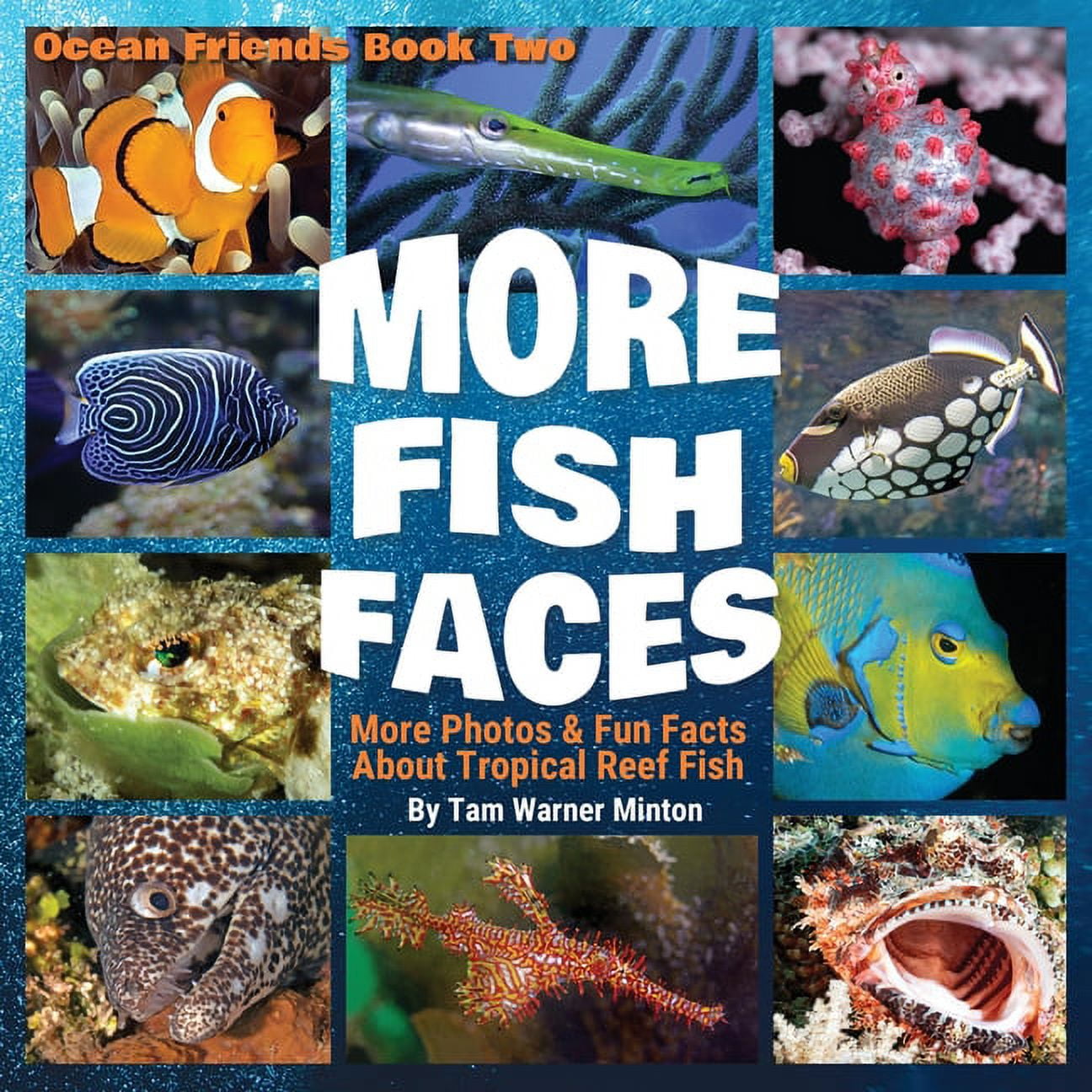 Ocean Friends: More Fish Faces : More Photos and Fun Facts about ...