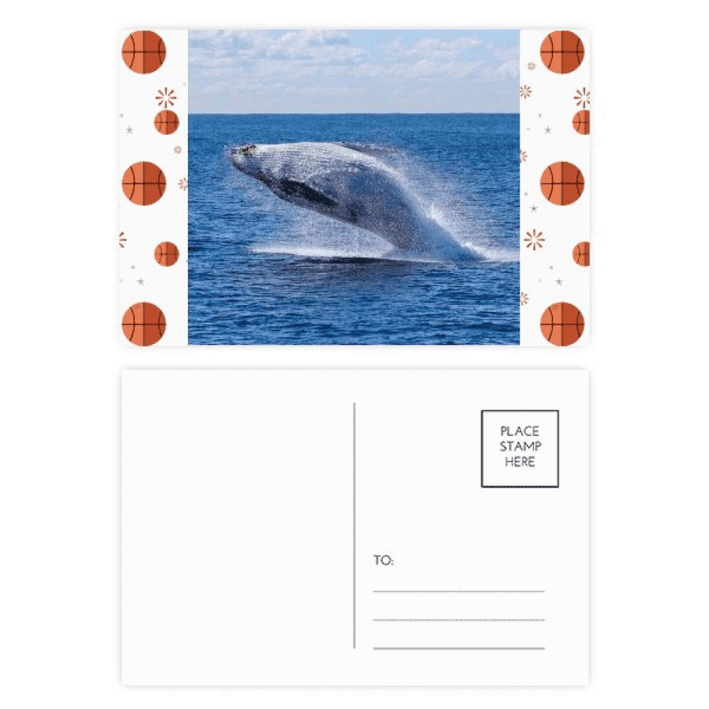 Ocean Humpback Fish Science Nature Picture Basketball Postcard Set ...