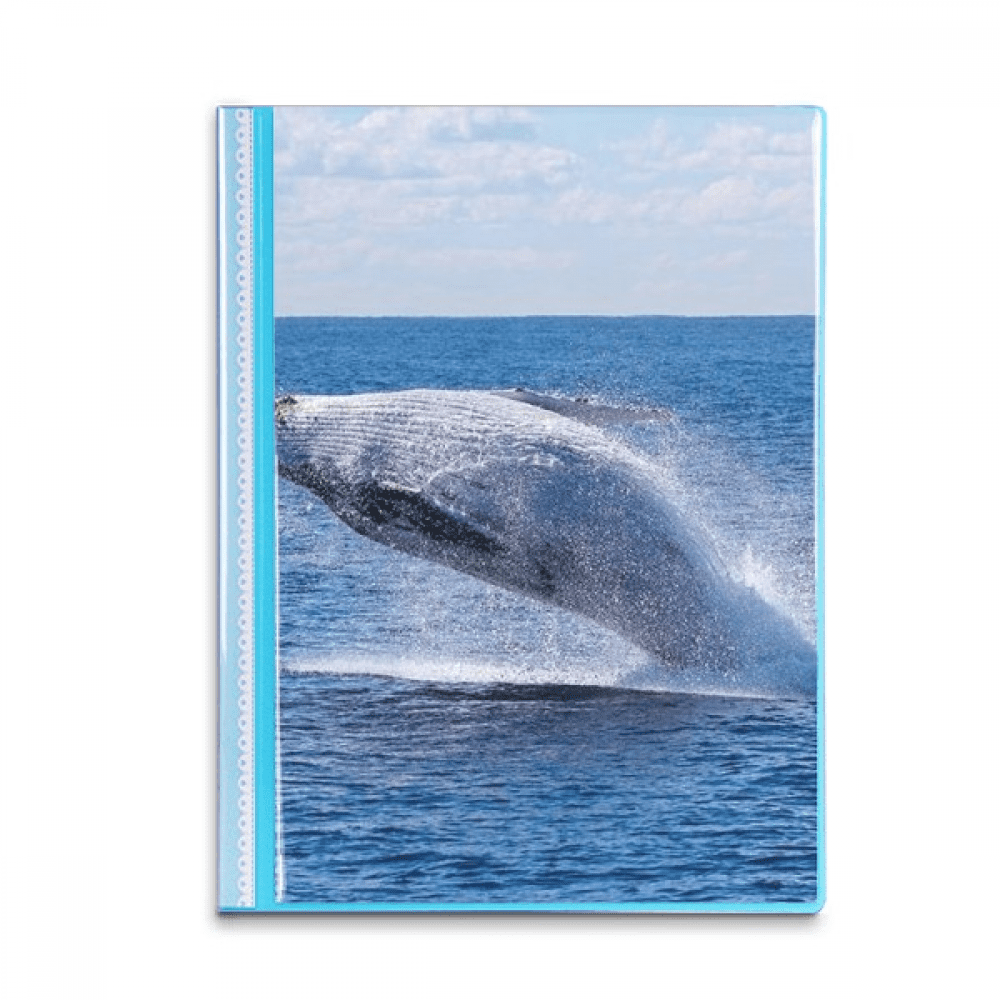 Ocean Humpback Fish Science Nature Picture Book Sheet Protectors ...