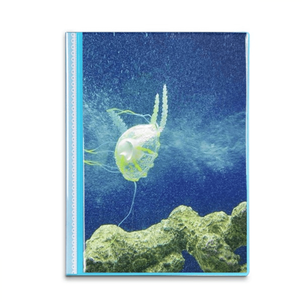 Ocean Jellyfish Science Nature Picture Book Sheet Protectors Portfolio ...