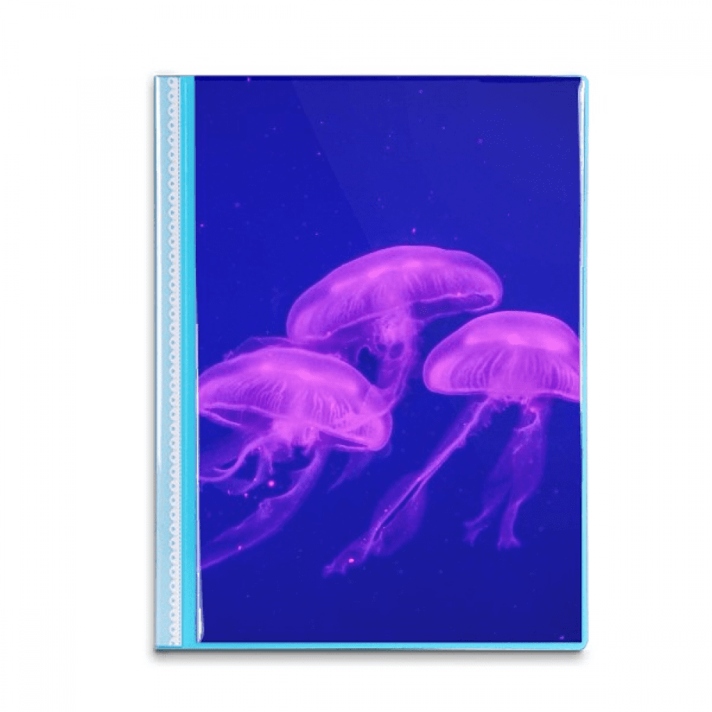 Ocean Jellyfish Science Nature Picture Book Sheet Protectors Portfolio ...