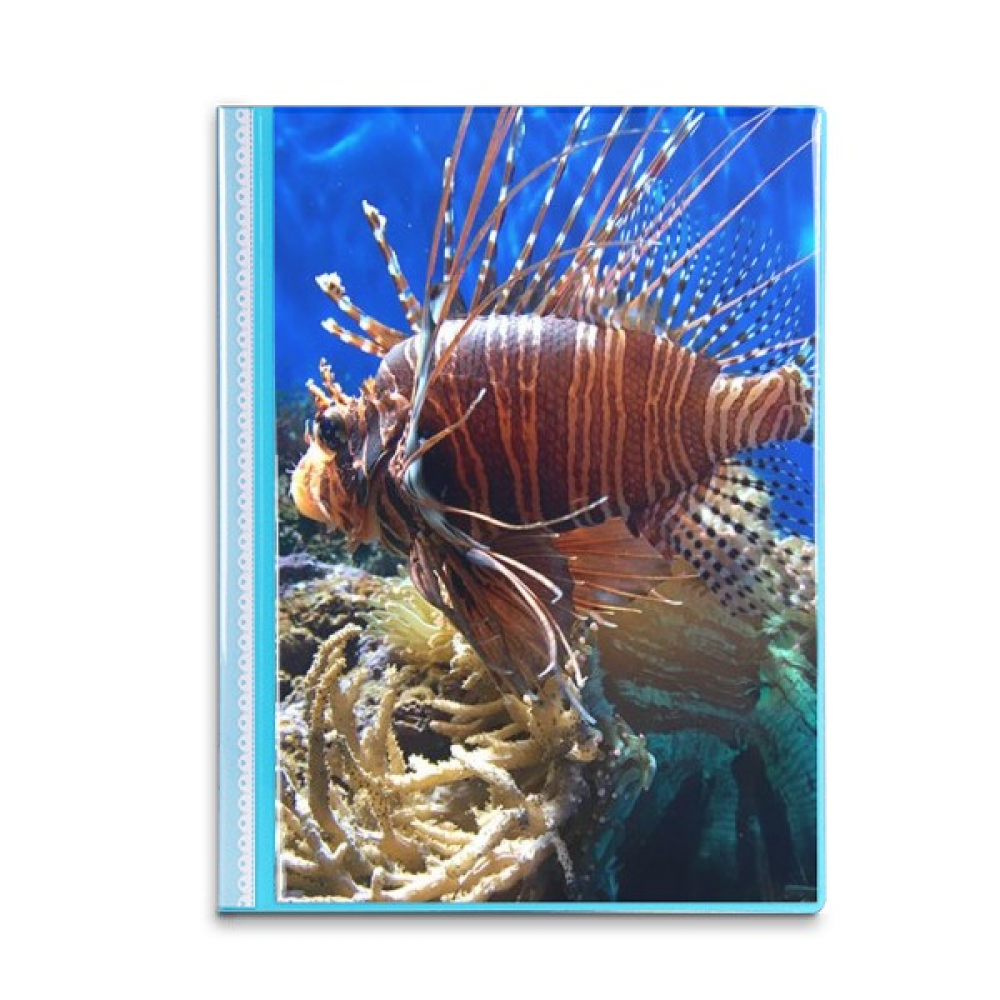 Ocean Jellyfish Science Nature Picture Book Sheet Protectors Portfolio ...