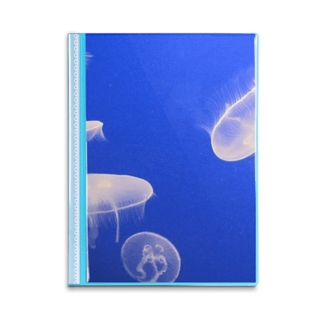 Ocean Jellyfish Science Nature Picture Book Sheet Protectors Portfolio ...
