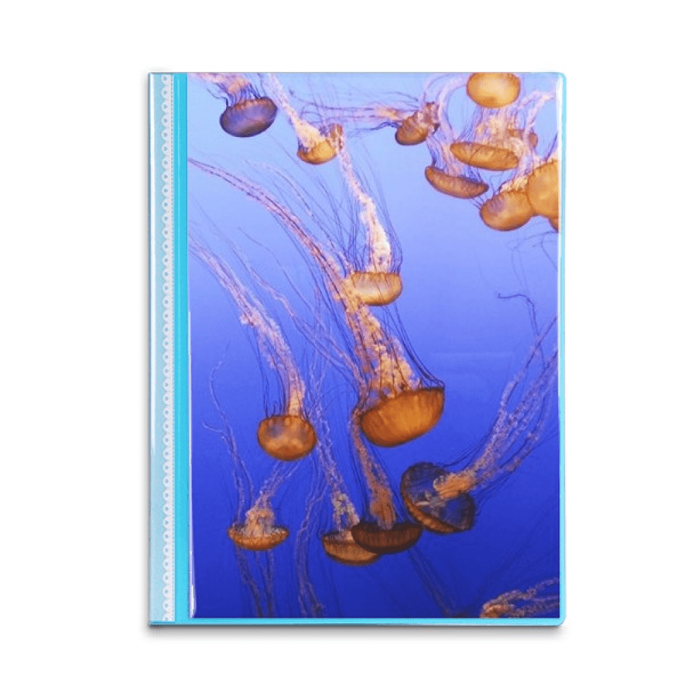 Ocean Jellyfish Science Nature Picture Book Sheet Protectors Portfolio ...
