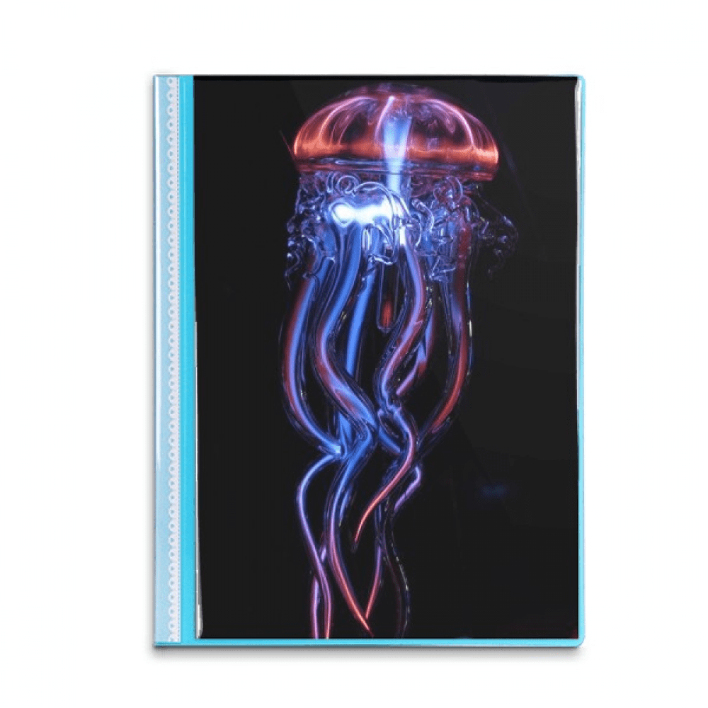 Ocean Jellyfish Science Nature Picture Book Sheet Protectors Portfolio ...