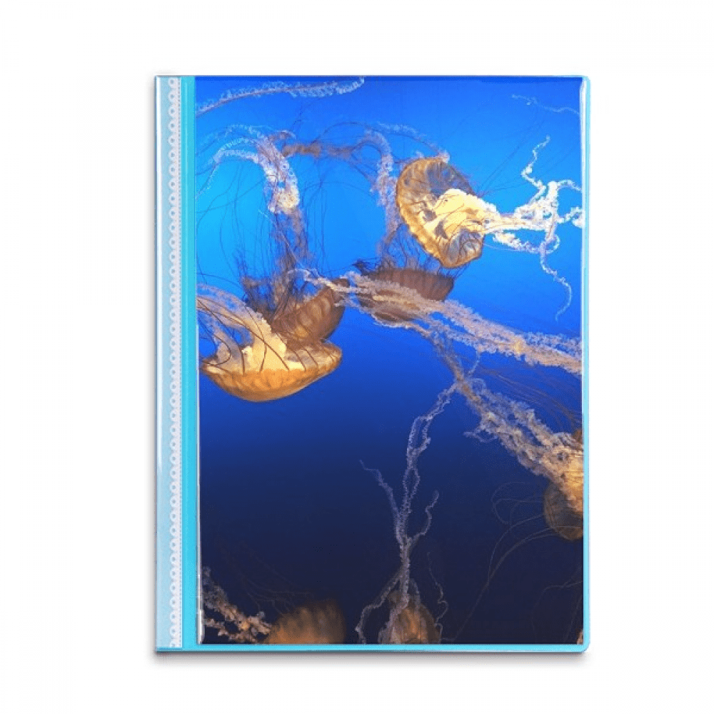 Ocean Jellyfish Science Nature Picture Book Sheet Protectors Portfolio ...