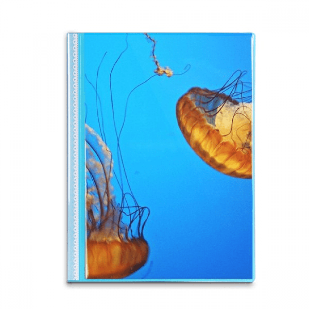 Ocean Jellyfish Science Nature Picture Book Sheet Protectors Portfolio ...