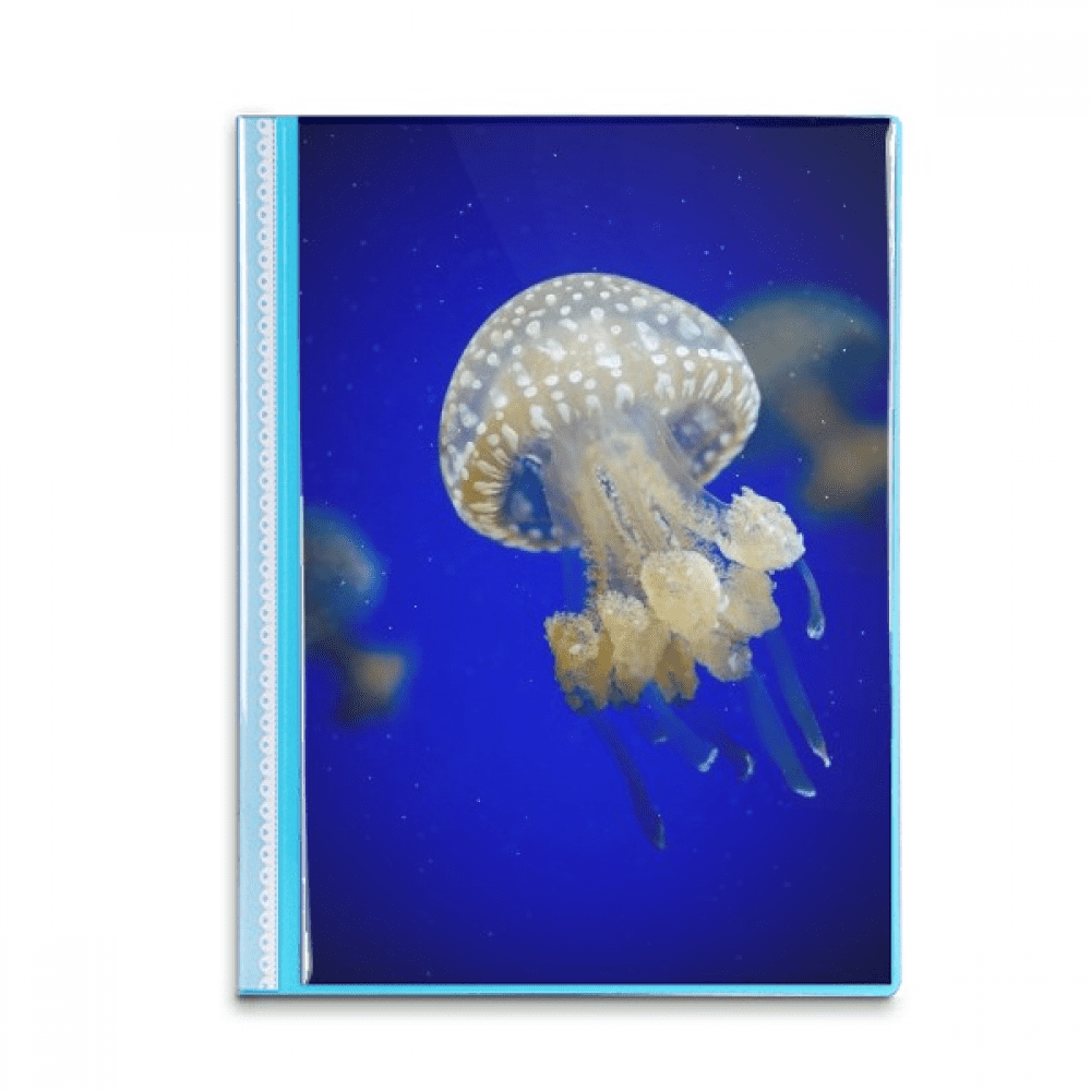 Ocean Jellyfish Science Nature Picture Book Sheet Protectors Portfolio ...