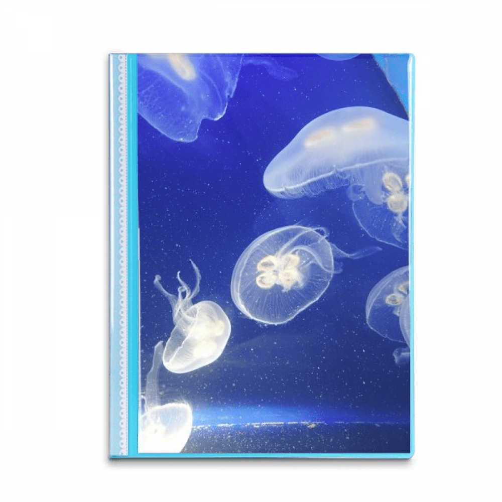 Ocean Jellyfish Science Nature Picture Book Sheet Protectors Portfolio ...
