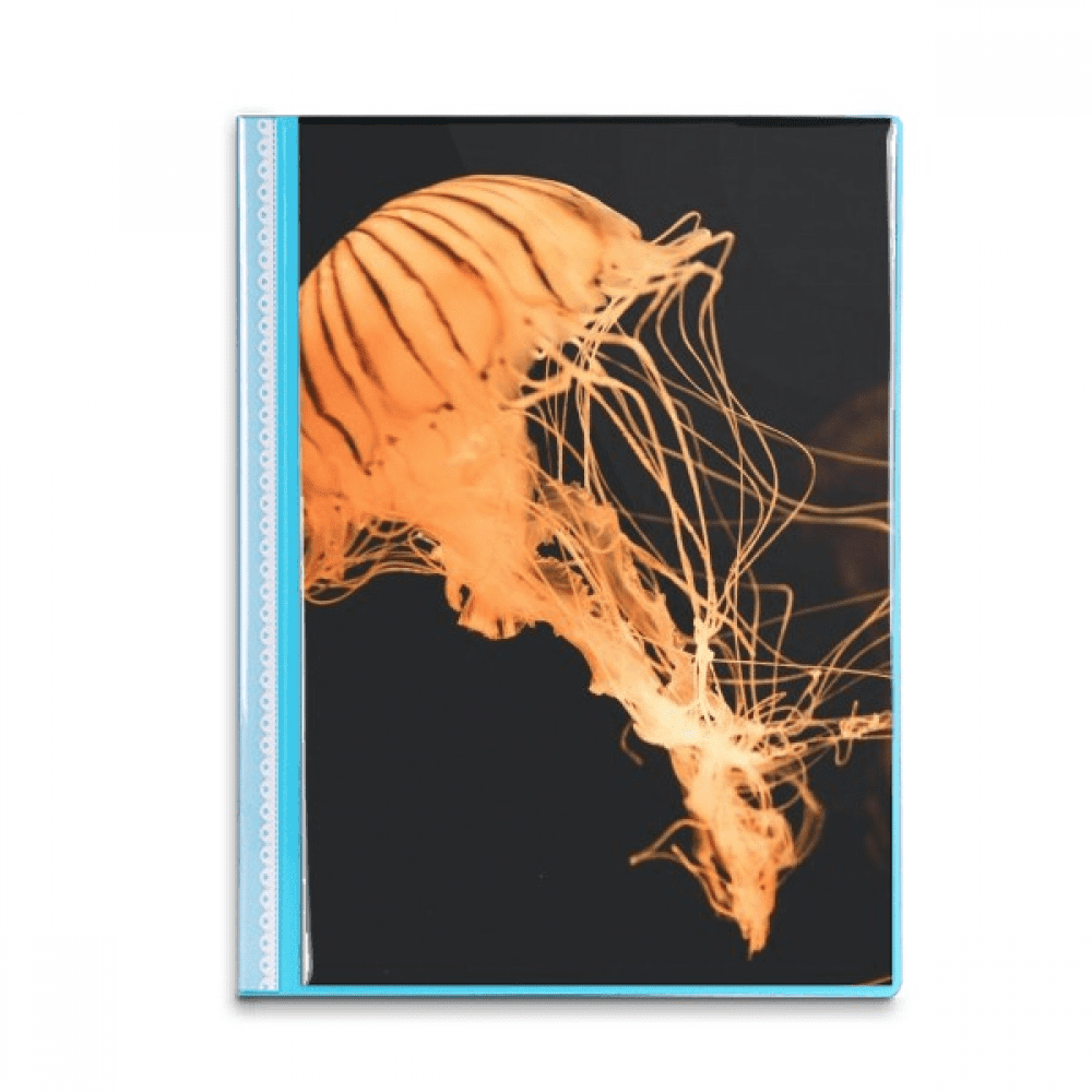Ocean Jellyfish Science Nature Picture Book Sheet Protectors Portfolio ...