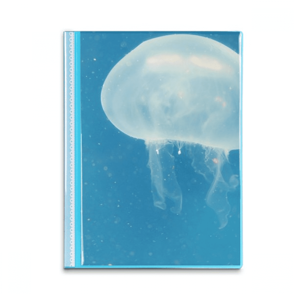 Ocean Jellyfish Science Nature Picture Book Sheet Protectors Portfolio ...