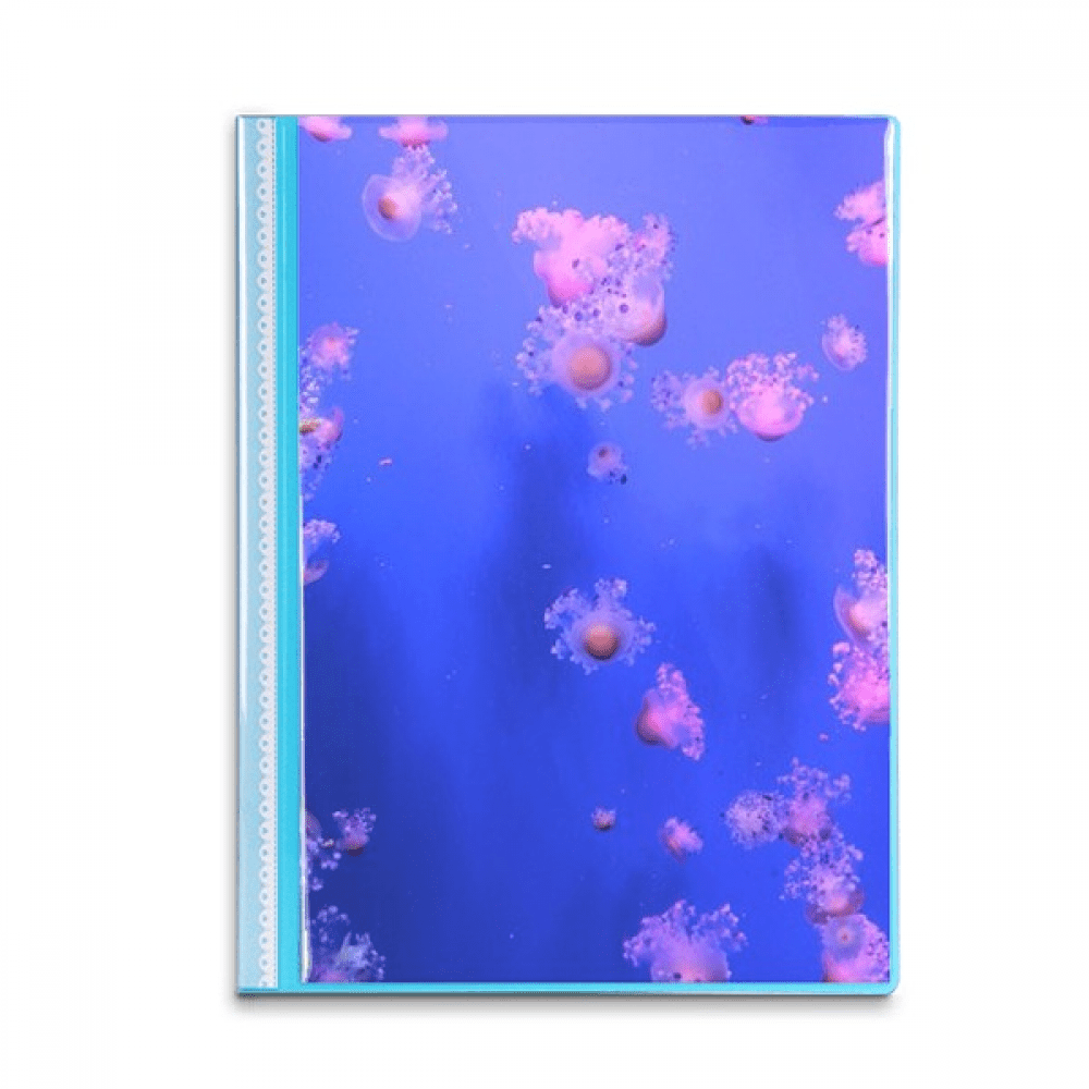 Ocean Jellyfish Science Nature Picture Book Sheet Protectors Portfolio ...