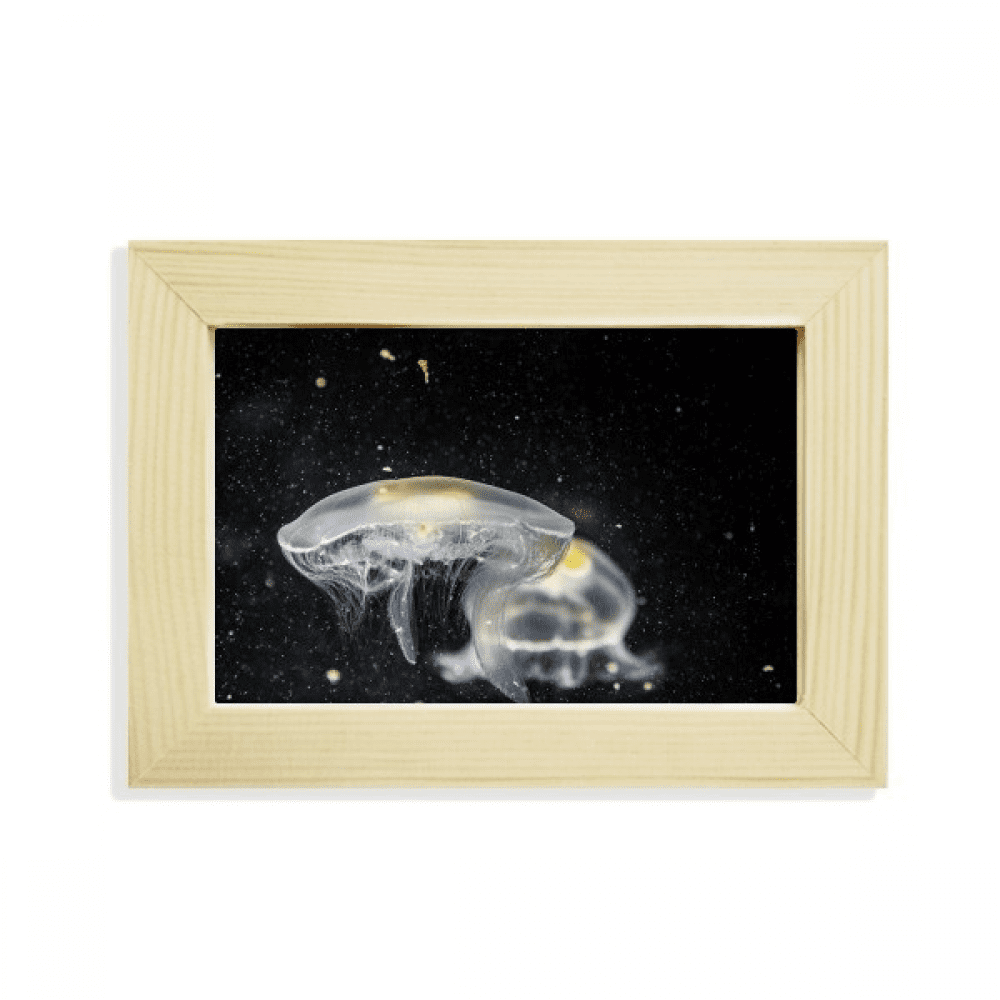 Ocean Jellyfish Science Nature Picture Desktop Decorate Photo Frame ...