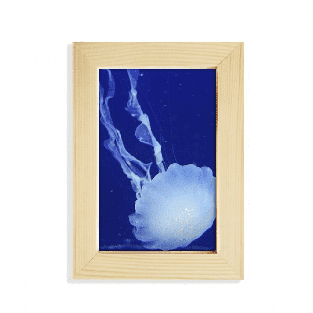 Ocean Jellyfish Science Nature Picture Desktop Display Photo Frame ...