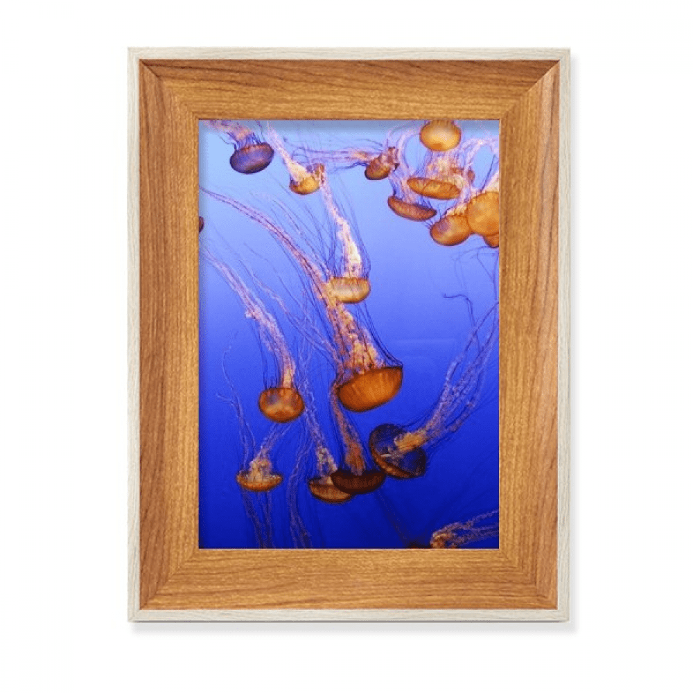 Ocean Jellyfish Science Nature Picture Desktop Wooden Photo Frame ...