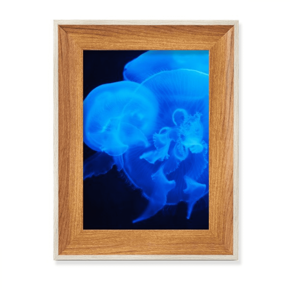 Ocean Jellyfish Science Nature Picture Desktop Wooden Photo Frame ...