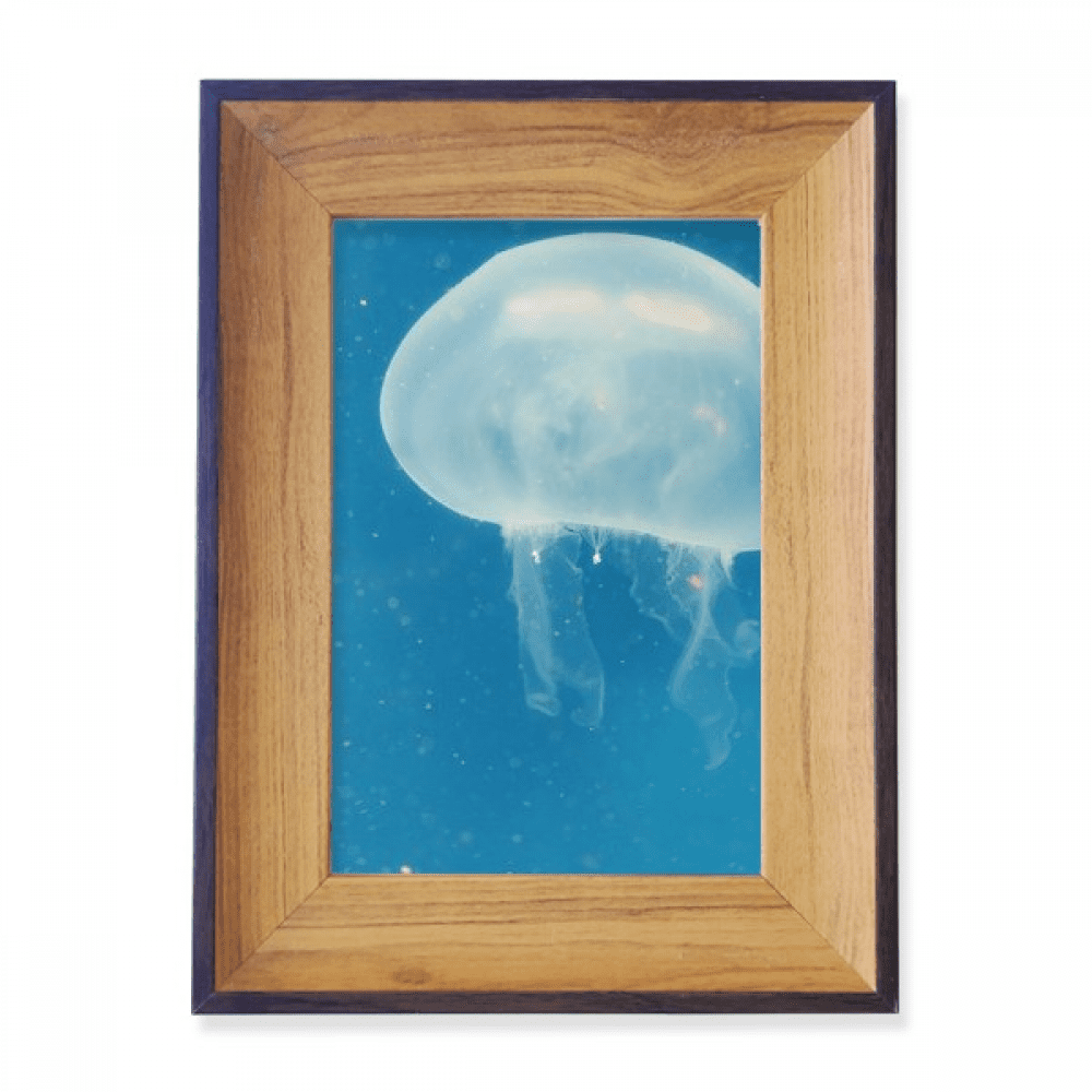 Ocean Jellyfish Science Nature Picture Photo Frame Exhibition Display ...