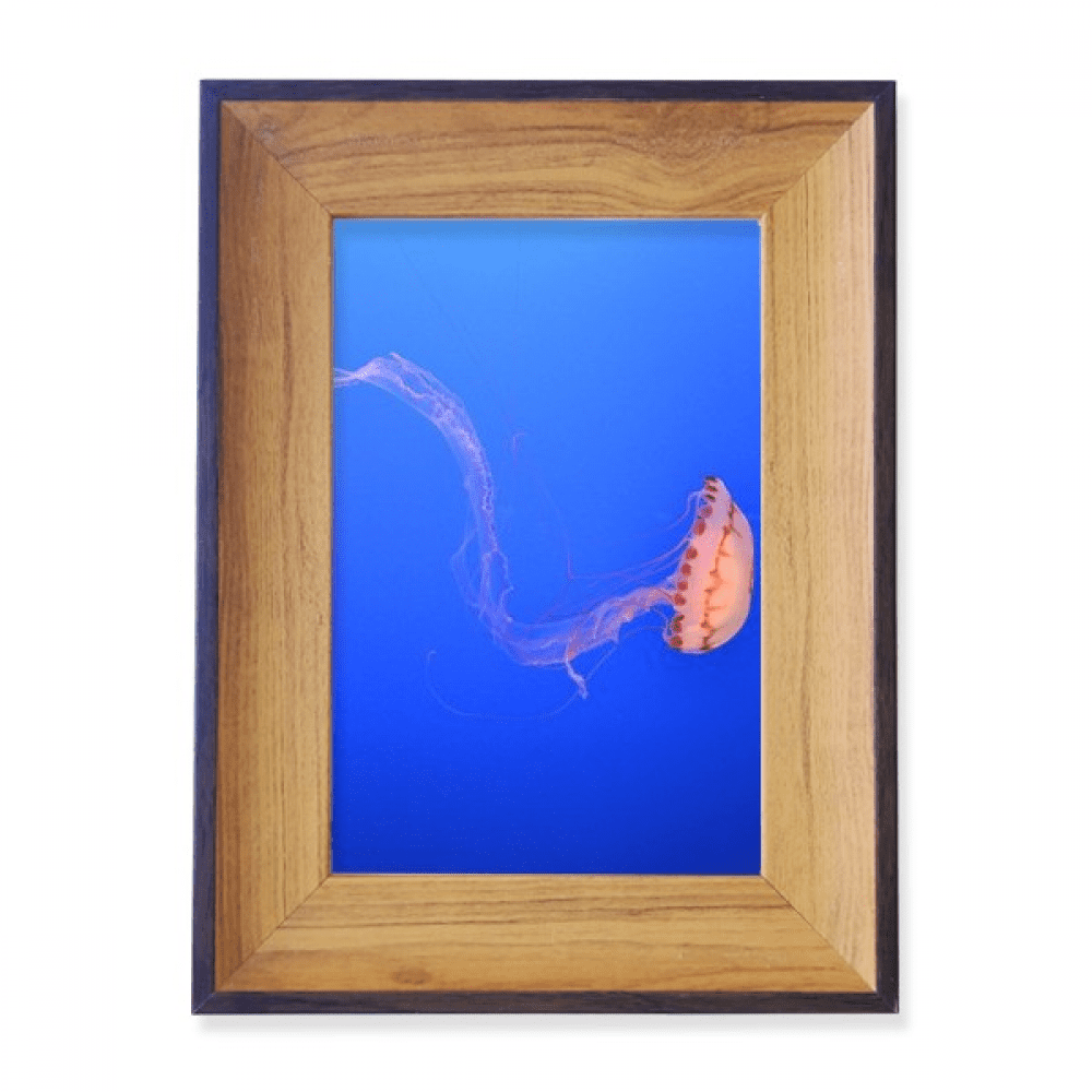 Ocean Jellyfish Science Nature Picture Photo Frame Exhibition Display ...