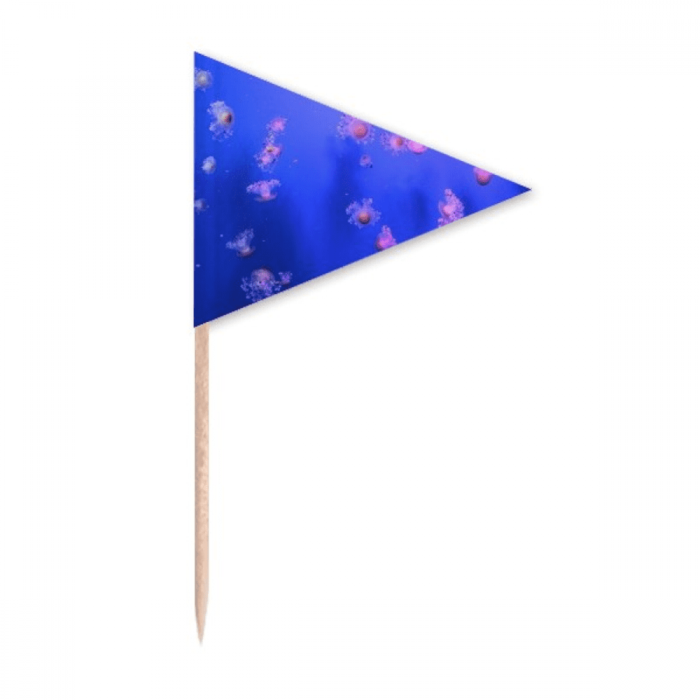 Ocean Jellyfish Science Nature Picture Toothpick Triangle Cupcake ...
