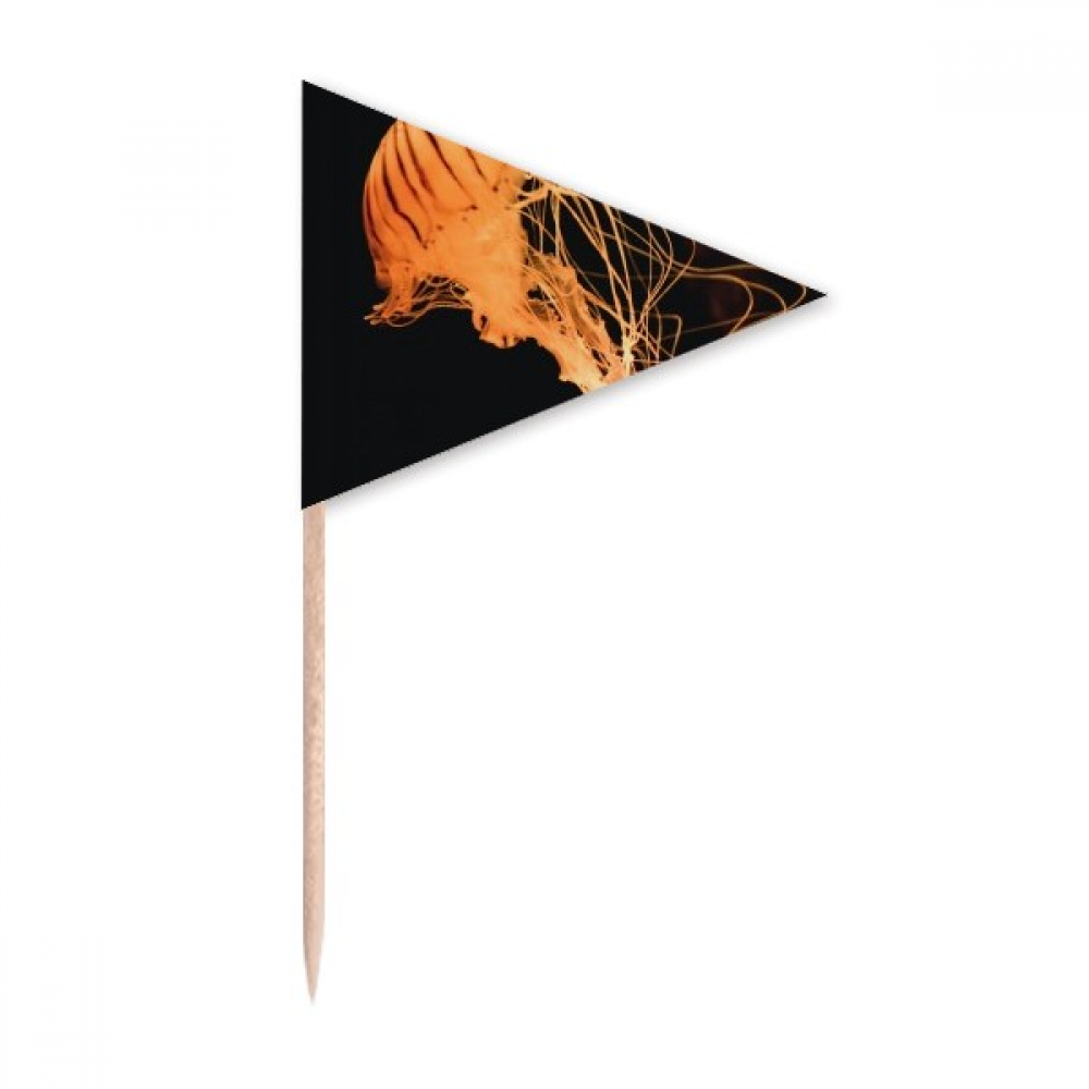 Ocean Jellyfish Science Nature Picture Toothpick Triangle Cupcake ...