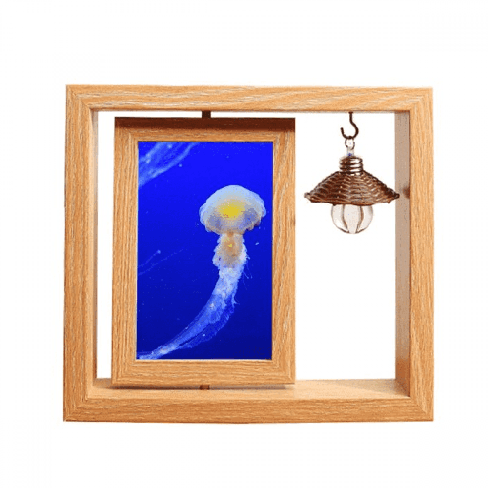 Ocean Jellyfish Science Nature Picture Wooden Rotating Picture Photo ...