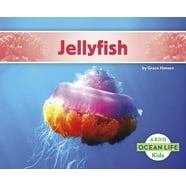 Giant Squid: Searching for a Sea Monster (Paperback) - Walmart.com