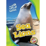 Ocean Life Up Close: Sea Lions (Hardcover) - Walmart.com