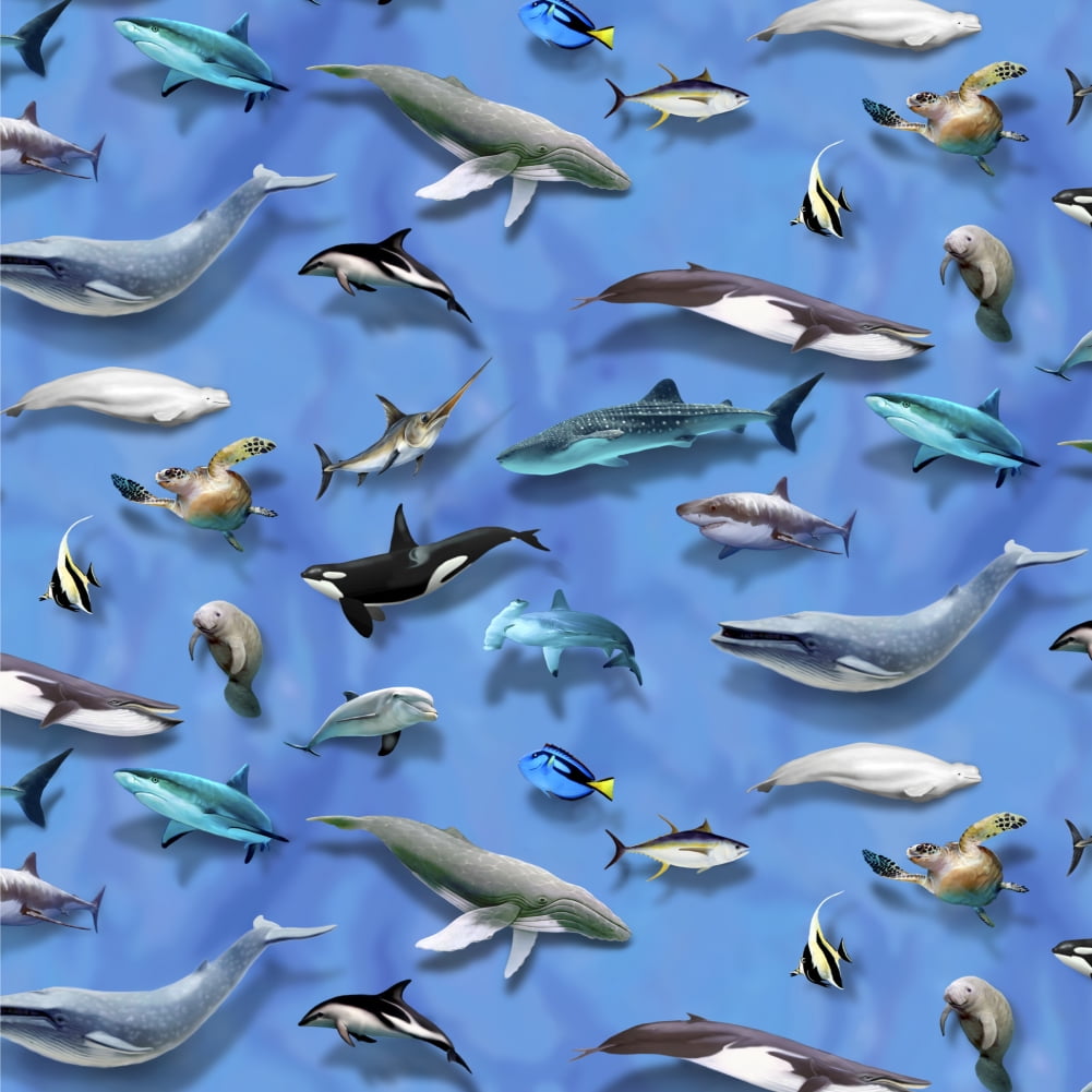 Ocean Life Whale Dolphin Manatee Shark Pattern Premium Roll Gift Wrap ...