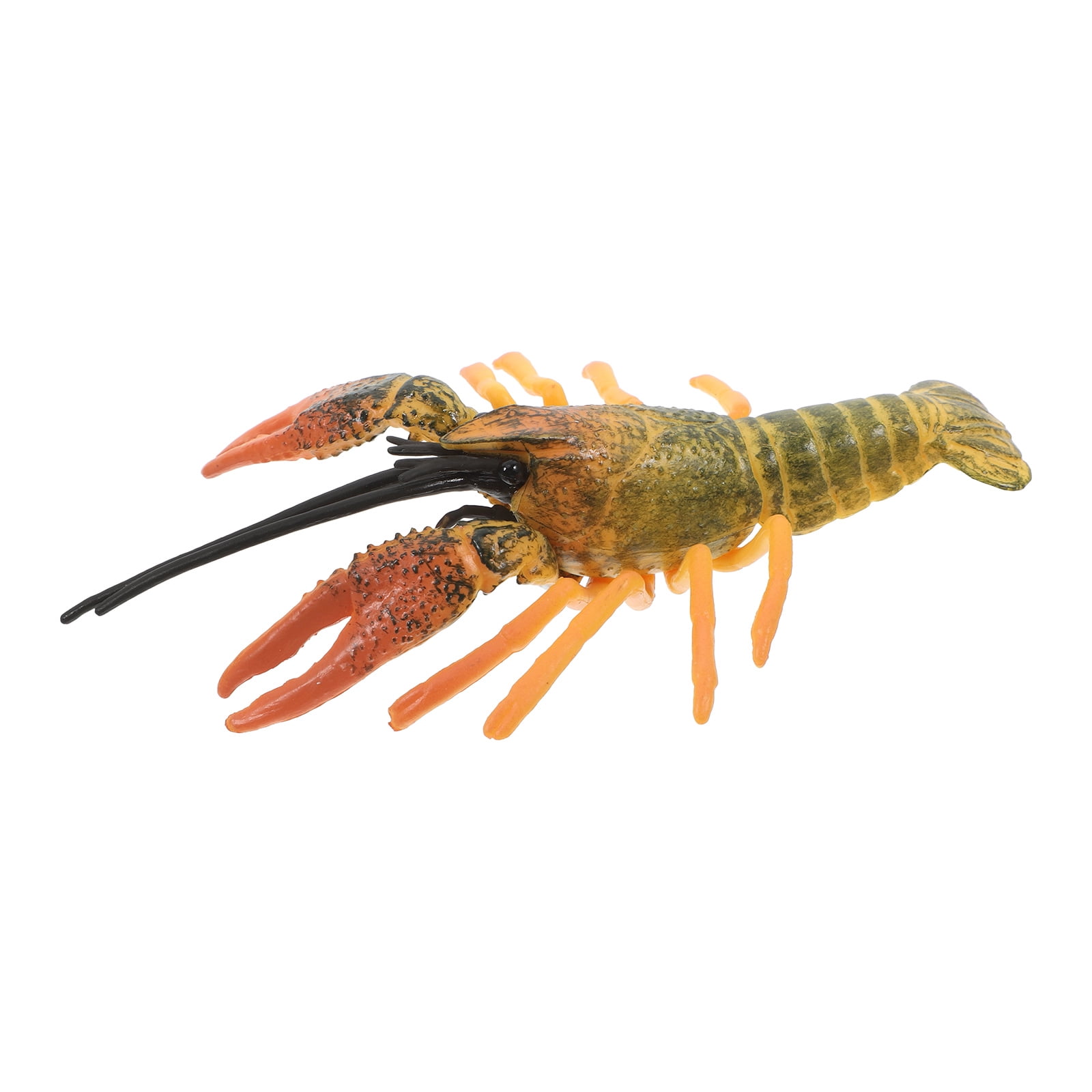 Ocean Lobster Model Cognitive Simulation Recognition The Child ...