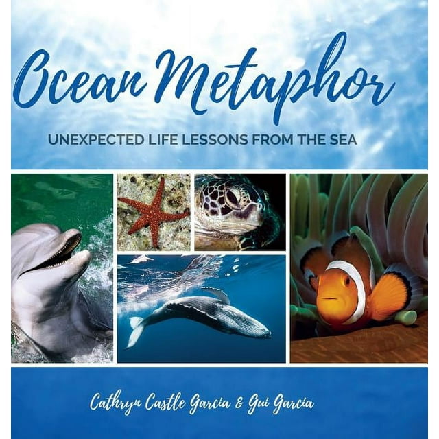Ocean Metaphor: Unexpected Life Lessons from the Sea (Hardcover ...