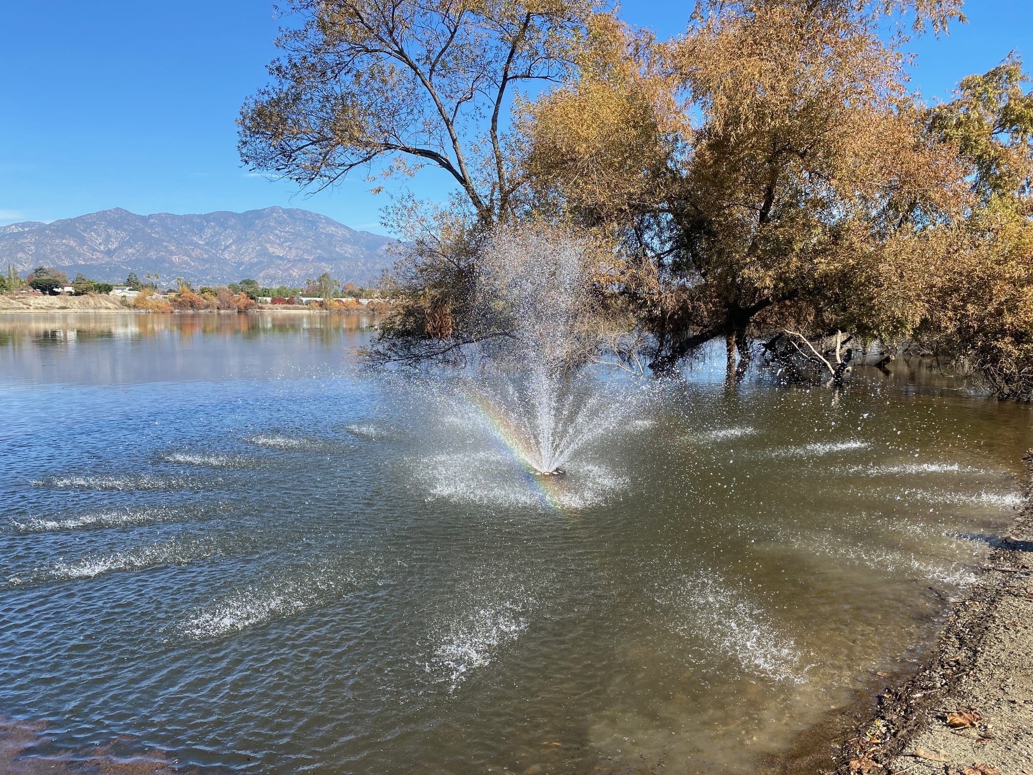Ocean Mist PJ9000-12W 1HP(750W) High Output Floating Pond Fountain with ...