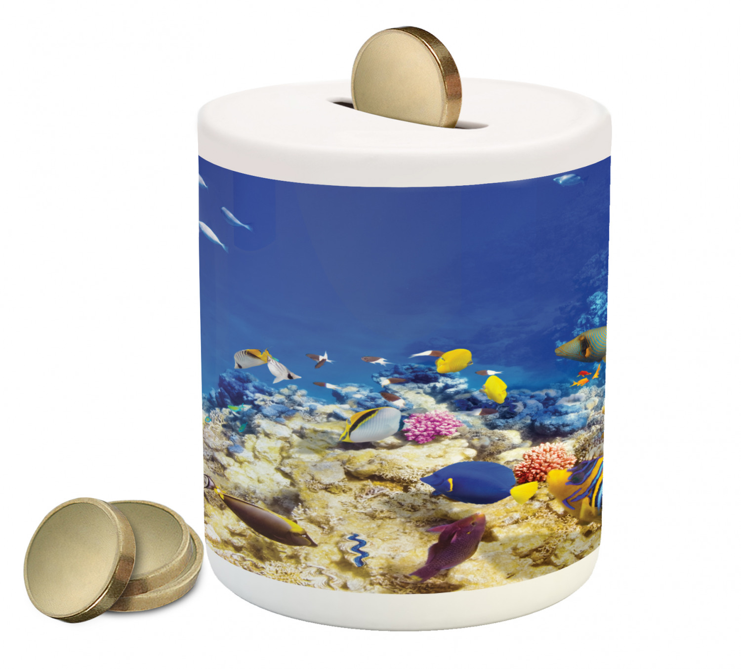 Ocean Piggy Bank, Underwater Life Wilderness Caribbean Ocean Vacation ...