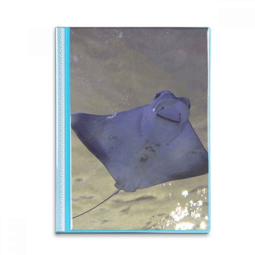 Ocean Ray Skate Science Nature Picture Book Sheet Protectors Portfolio ...