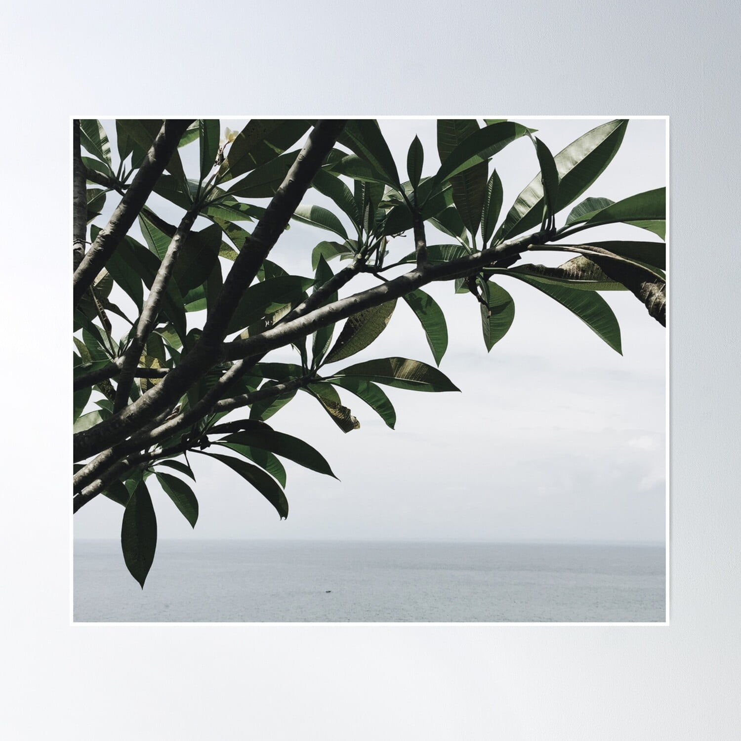 Ocean Retro Island Photography Poster Wall Art, Modern Wall Decor, 8x12 ...