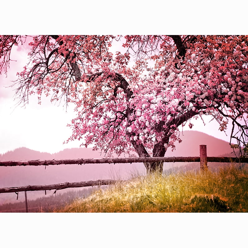 Ocean Scenery Photo Studio Photography Background Lake Scenic Beach ...