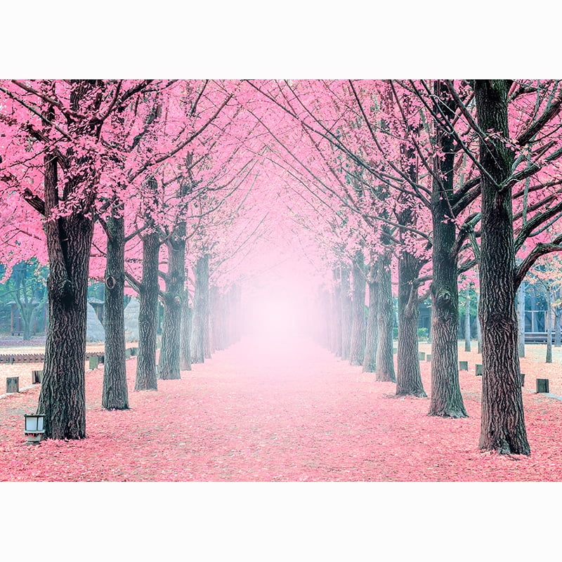 Ocean Scenery Photo Studio Photography Background Lake Scenic Beach ...