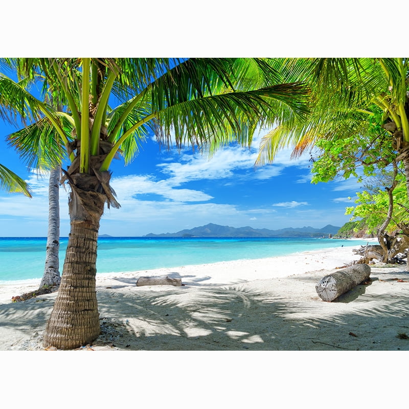Ocean Scenery Photo Studio Photography Background Lake Scenic Beach Trees Landscape Backdrops FJ ...