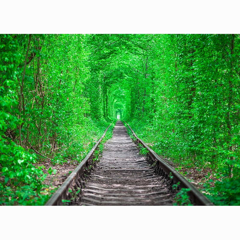 Ocean Scenery Photo Studio Photography Background Lake Scenic Beach Trees Landscape Backdrops FJ ...