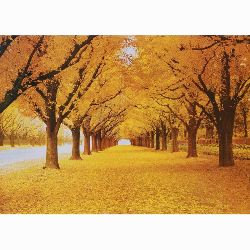 Ocean Scenery Photo Studio Photography Background Lake Scenic Beach Trees Landscape Backdrops FJ ...