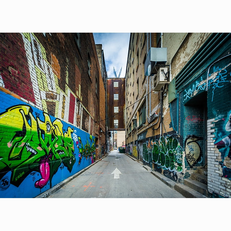 Ocean Scenery Photo Studio Photography Background Lake Scenic Beach Trees Landscape Backdrops FJ ...