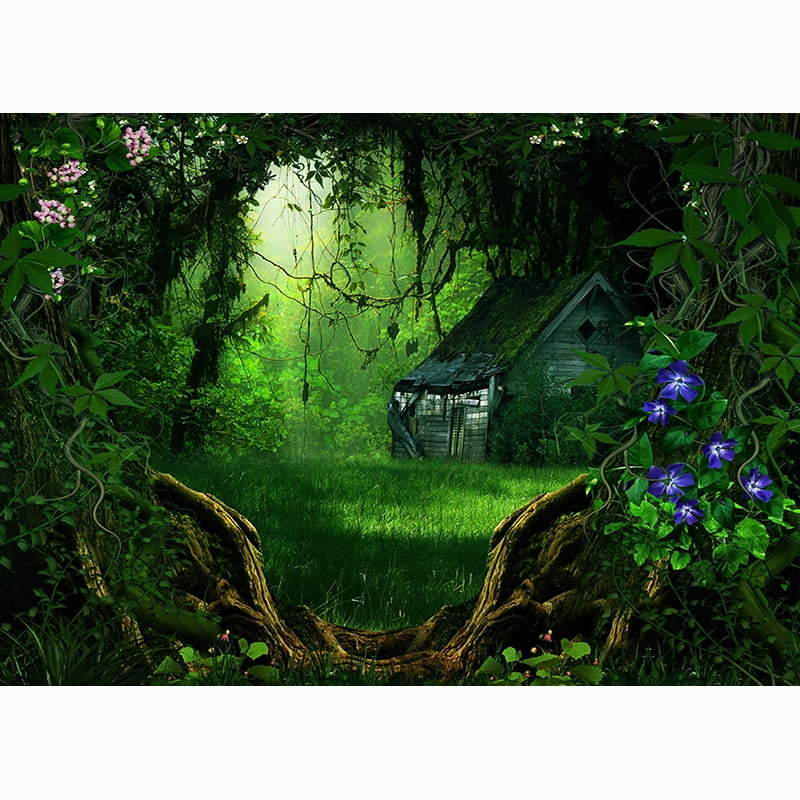 Ocean Scenery Photo Studio Photography Background Lake Scenic Beach ...