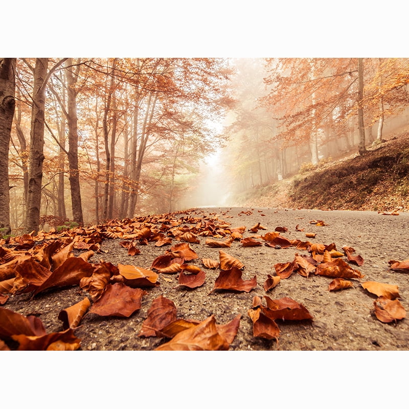 Ocean Scenery Photo Studio Photography Background Lake Scenic Beach Trees Landscape Backdrops FJ ...