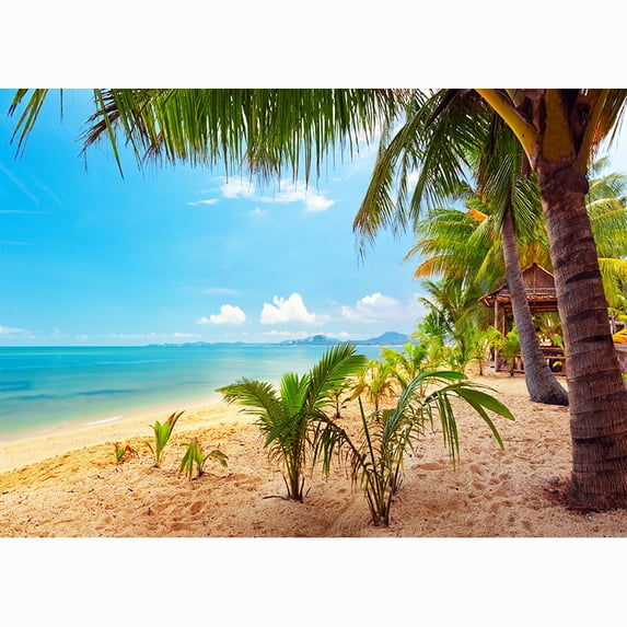Ocean Scenery Photo Studio Photography Background Lake Scenic Beach Trees Landscape Backdrops FJ ...