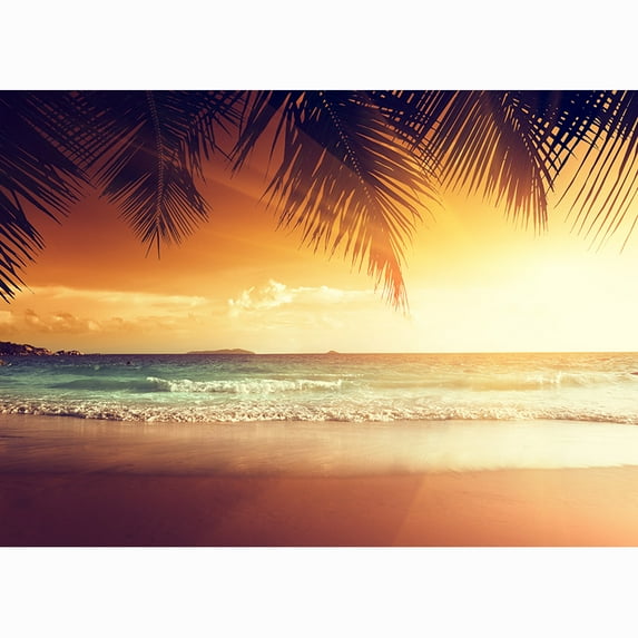 Ocean Scenery Photo Studio Photography Background Lake Scenic Beach ...