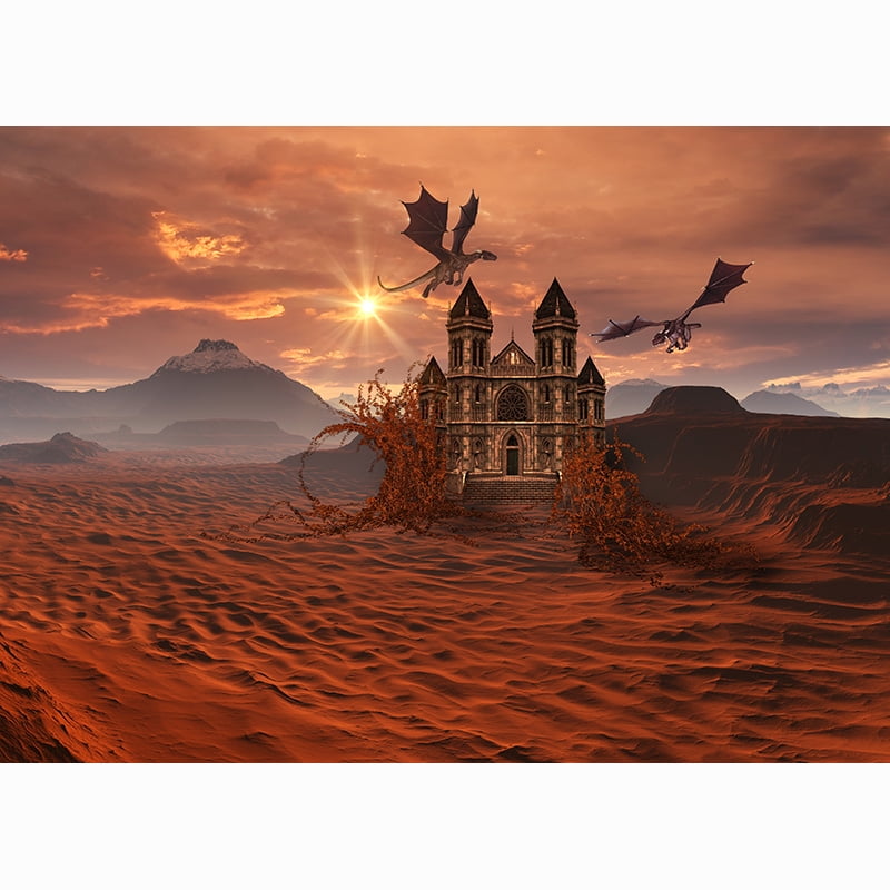 Ocean Scenery Photo Studio Photography Background Lake Scenic Beach ...