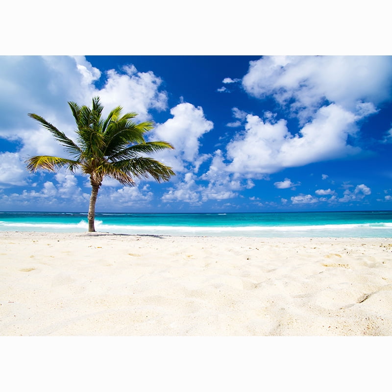 Ocean Scenery Photo Studio Photography Background Lake Scenic Beach ...